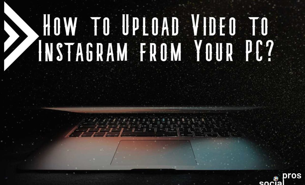 How To View Deleted Instagram Posts And Recover For Free?