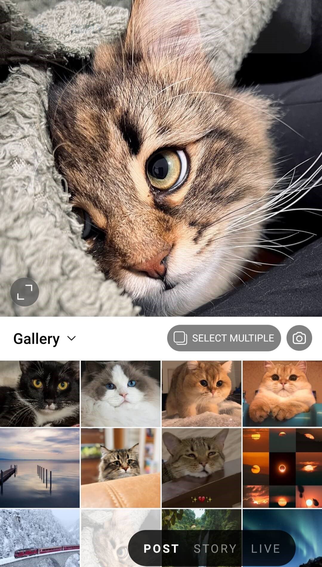 Instagram Drafts: How To Save And Delete Drafts On Instagram?