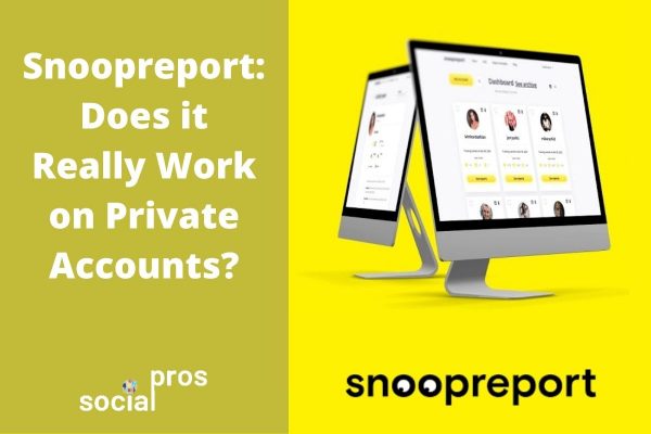 Snoopreport Review 2022: Does It Really Work, Even On Private Accounts?